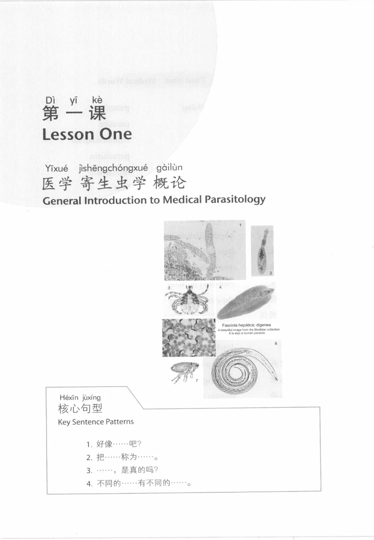(PDF) Practical Medical Chinese Preclinical 3, 实用医学汉语 基础篇